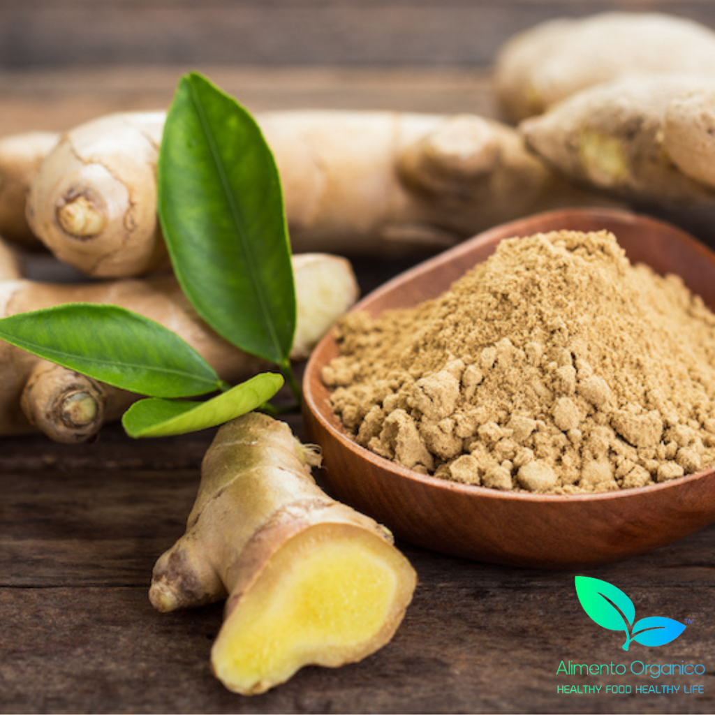Ginger Powder - Food Powder India - Natural Food Powder Manufacturers ...